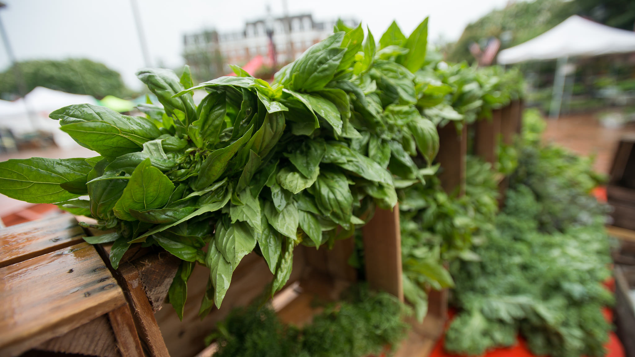 How consumers define “premium” in contemporary food culture - SmartBrief