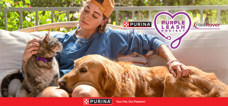 A leash, a lifeline: How Purina helps keep domestic violence survivors ...